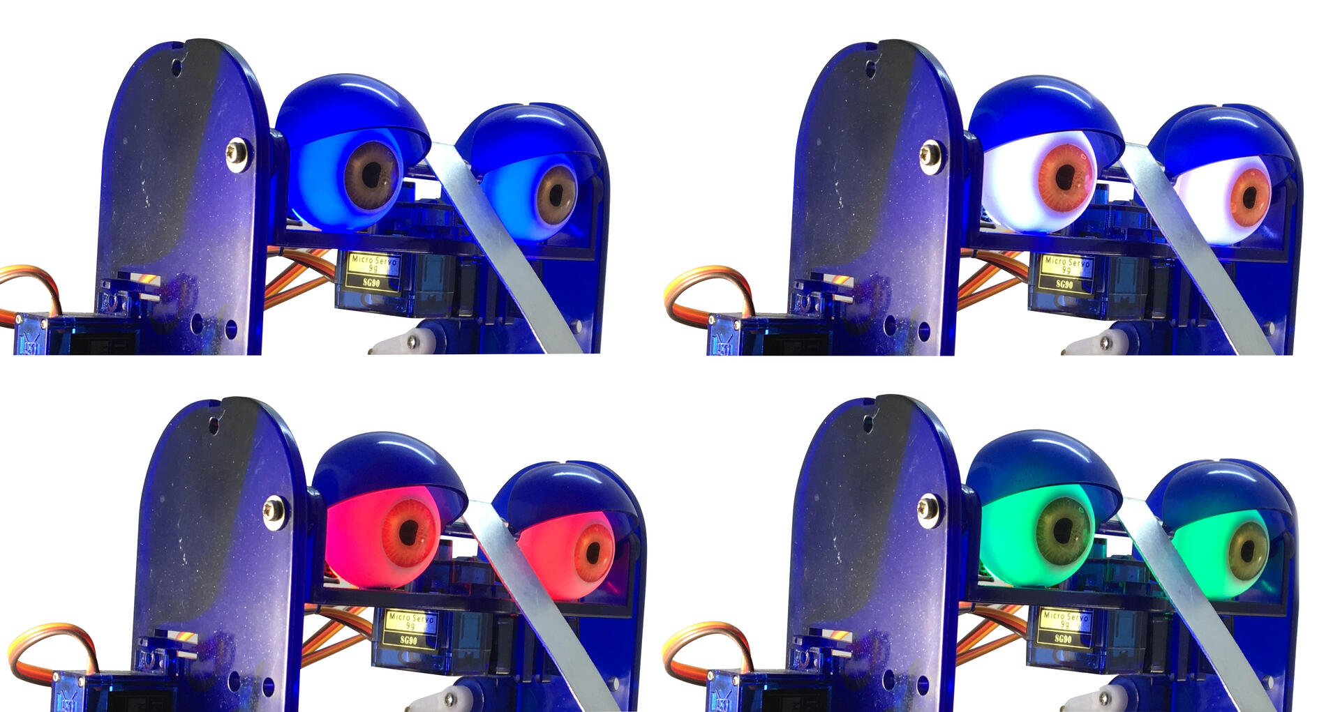 Ohbot 2.1 Illuminating Eyes - Lekolar Suomi